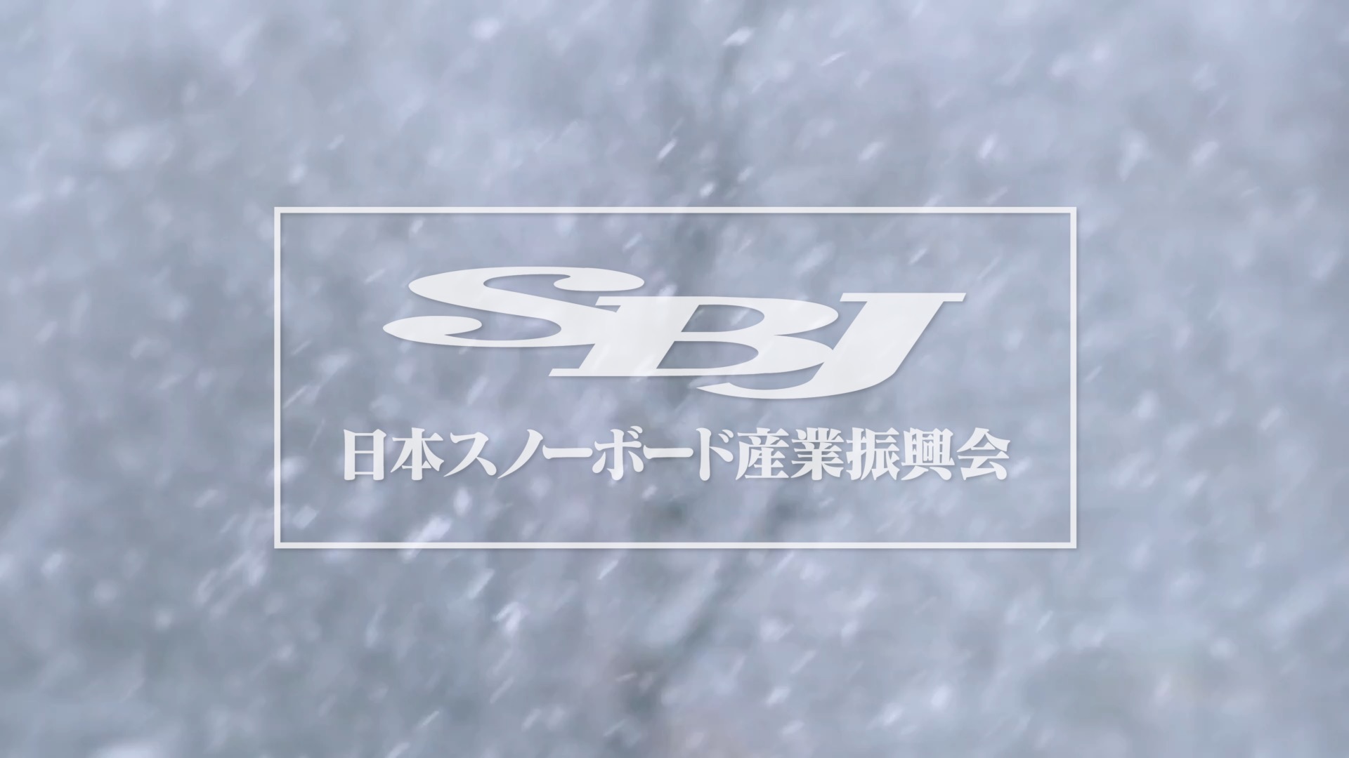 概要・沿革 - SBJ オフィシャルWEB